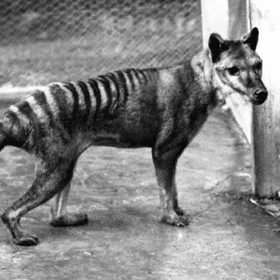 Tours – Tall Timbers Hotel