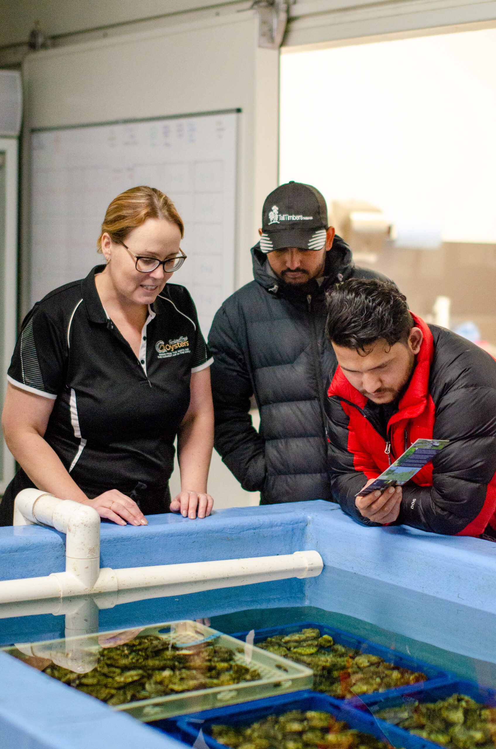 A Shell-fish Partnership – Tall Timbers Hotel